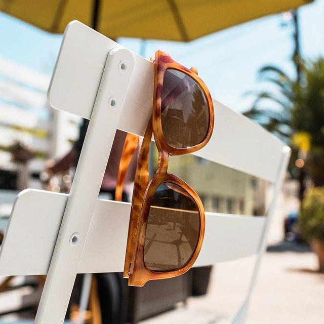 Glossy Blonde Tortoise Shell / Amber Paso Robles